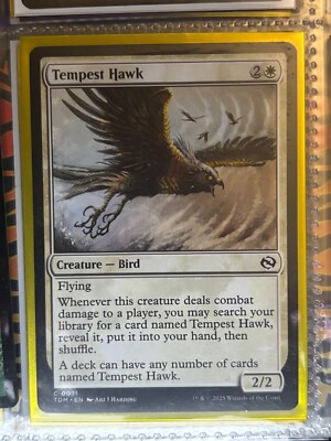 Tempest Hawk Tarkir: Dragonstorm Regular MTG Magic the Gatherinf Near ...