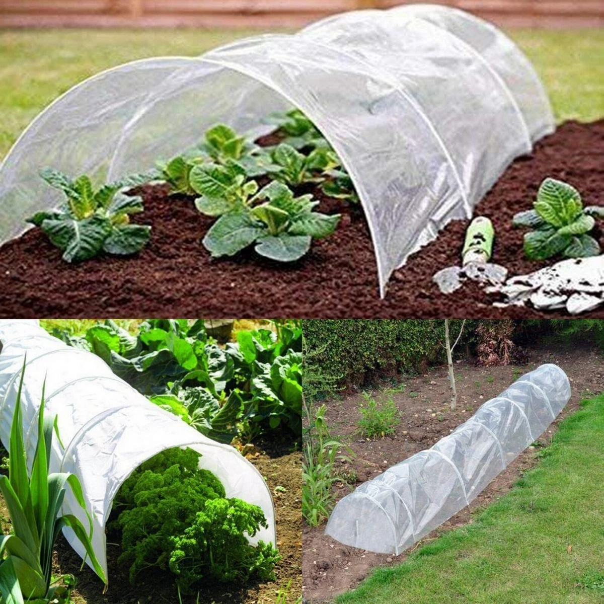 Garden Cloche Tunnels | Fasci Garden