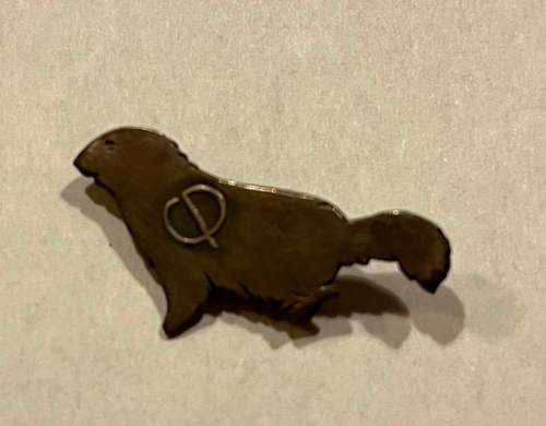 Order of the Silver Marmot pin, Camp Parsons | eBay