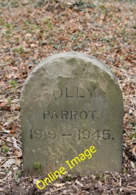 Photo 6x4 Polly Parrot in the Pet Cemetery at Brodsworth Hall ...