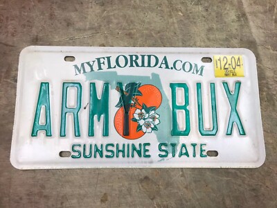 State Of Florida Vanity License Plate | eBay