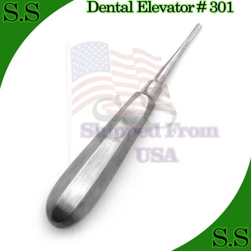 Apical Root Dental Elevator #301 Surgical Denture Instrument DEL-301 | eBay
