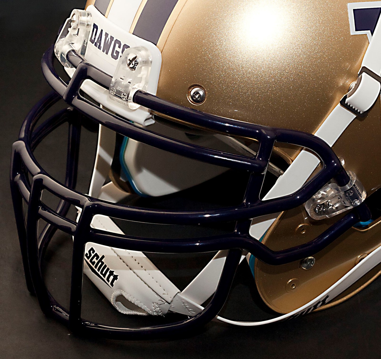 *CUSTOM* WASHINGTON HUSKIES NCAA Schutt XP Authentic GAMEDAY Football ...