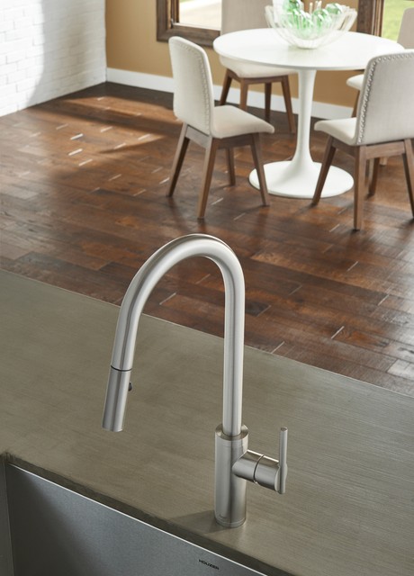 Danze Parma D454058 Pull-Down Kitchen Faucet with Snapback Retraction ...