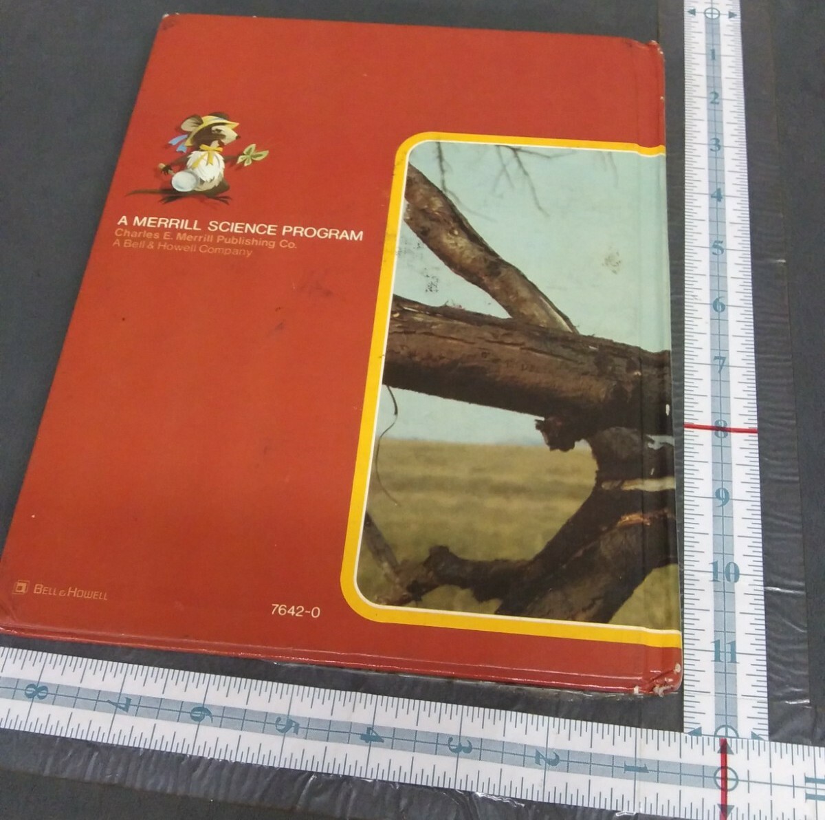 Accent on Science by Sund / Adams / Hackett | eBay