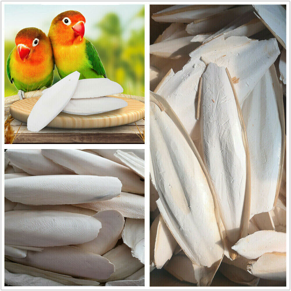 10/20PC Cuttlebone Cuttlefish Bone Sepia Cuttle Fish Pet Bird Food ...