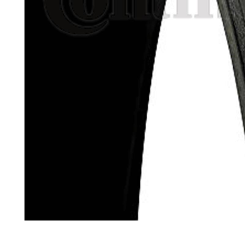 8 Rib Multi V Drive Belt 8PK1427 ContiTech A9069937196 9069937196 ...