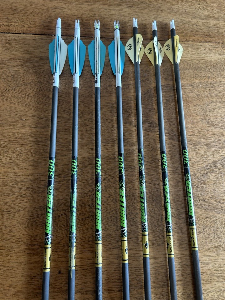 6 Gold Tip Hunter XT 300 Spine Arrows | eBay