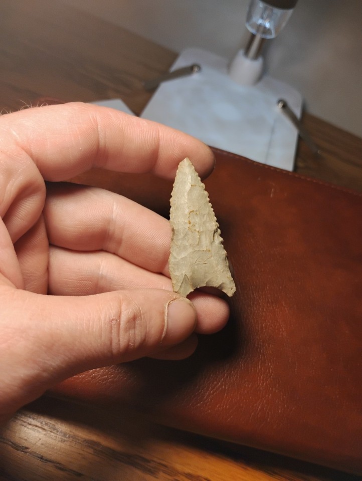 Authentic Dalton Arrowhead 2 1/8" Trans Paleo | eBay