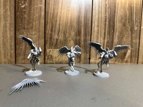 SA24913 WARHAMMER AOS AGE OF SIGMAR STORMCAST ETERNALS PROSECUTORS | eBay