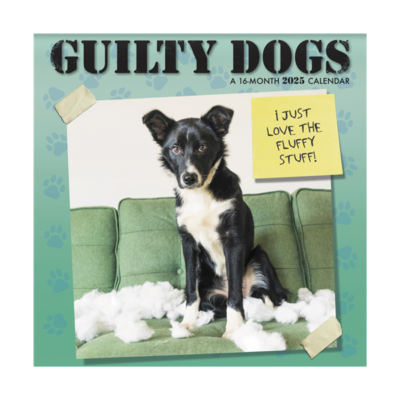 Guilty Dog Felt So Guilty He Had To Disappear