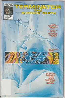 Terminator The Burning Earth #1 Now Comics NM | eBay