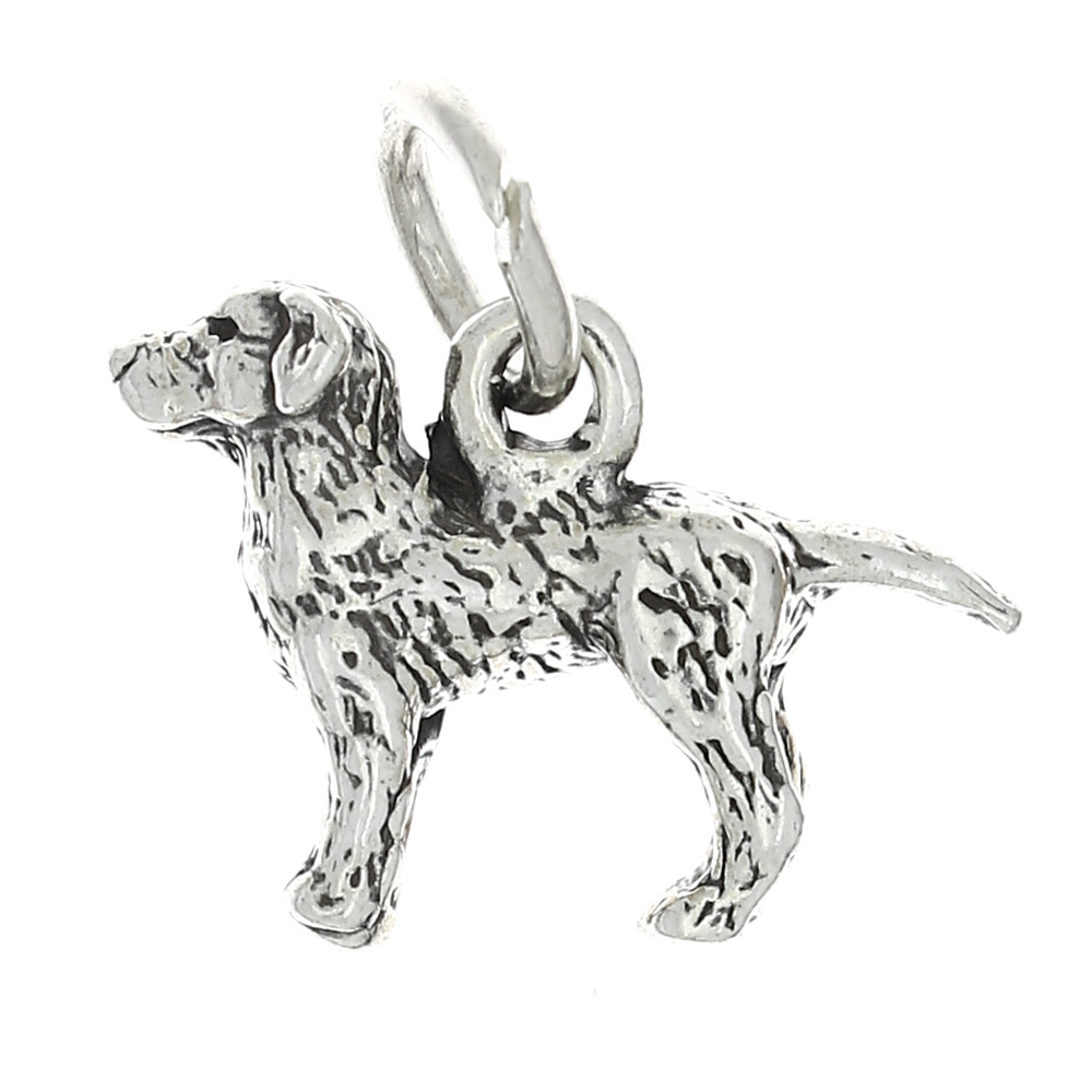 Sterling Silver 3D Labrador Retriever Lab Dog Charm or Pendant | eBay