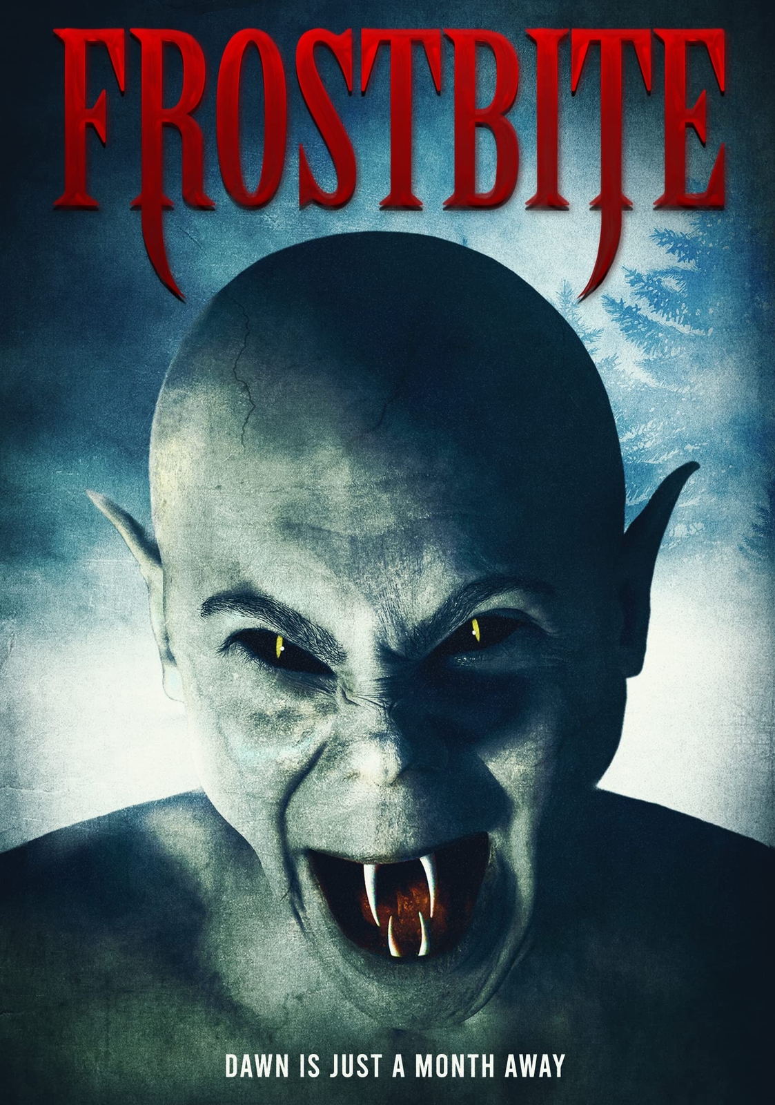 Frostbite (DVD) Jonas Lawes Petra Nielsen Carl-Ake Eriksson Greta ...