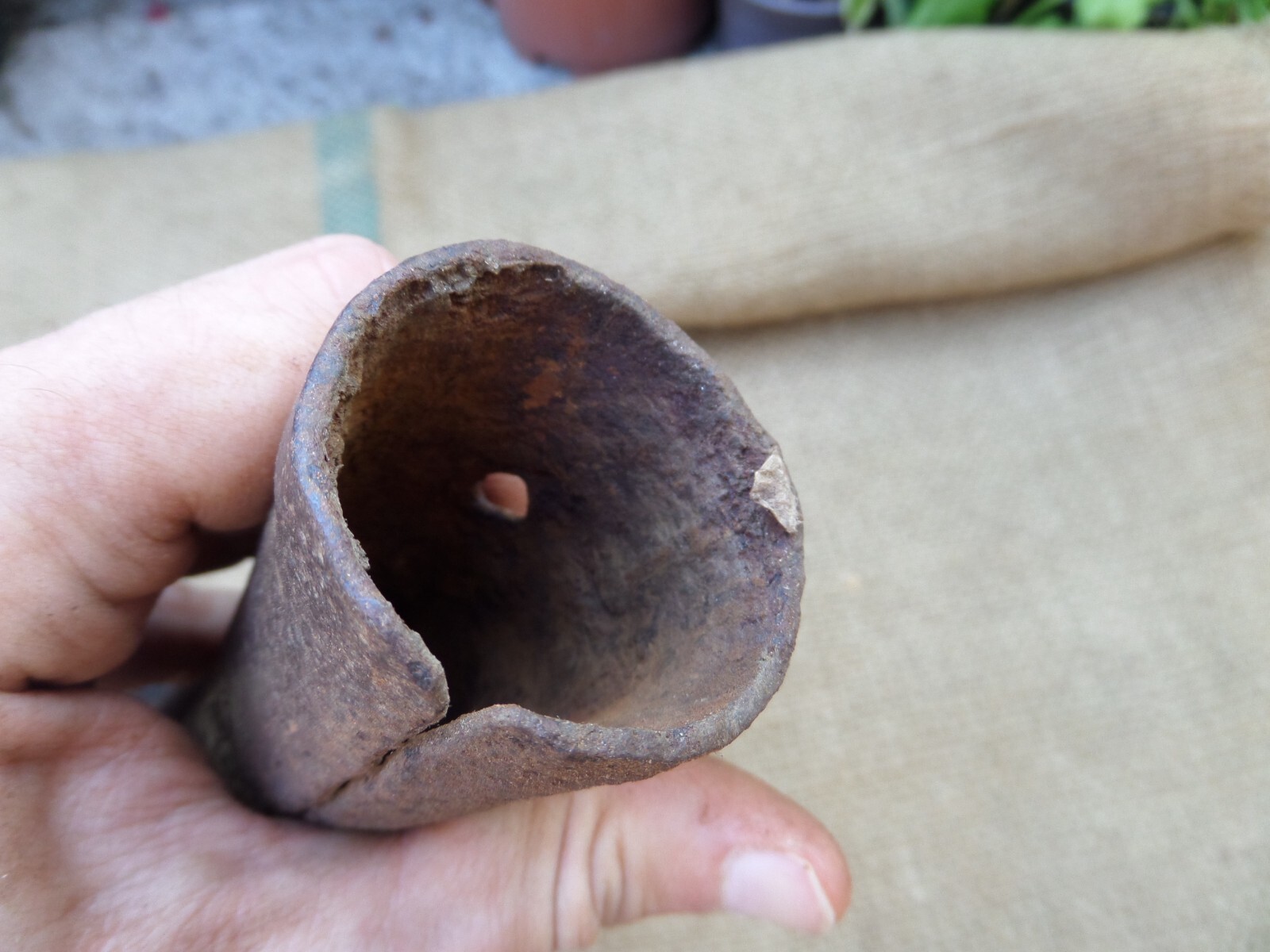 ANTIQUE ROOT PULLER BEET EXTRACTING TOOL DIGGING BEETROOT VINTAGE HAND ...