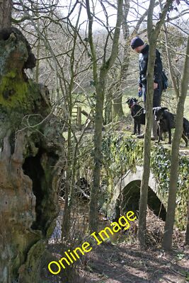 Photo 6x4 Kilbridge Bridge Bolham Water c2013 | eBay UK
