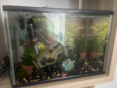 25 litre fish tank | eBay UK