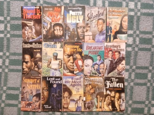 BIG Lot (15) PAUL LANGAN ANNE SCHRAFF Books BLUFORD SERIES NEARLY ...