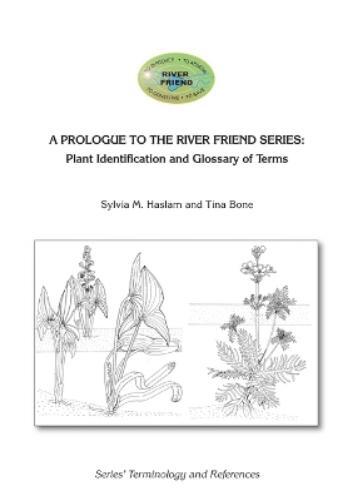 Sylvia Mary Haslam Tina Bone A Prologue to the Series (Paperback) (UK ...