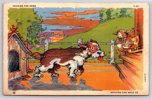 Ray Walters Comic~Heading For Home~Farm Dog Leashed To Doghouse~Vintage ...