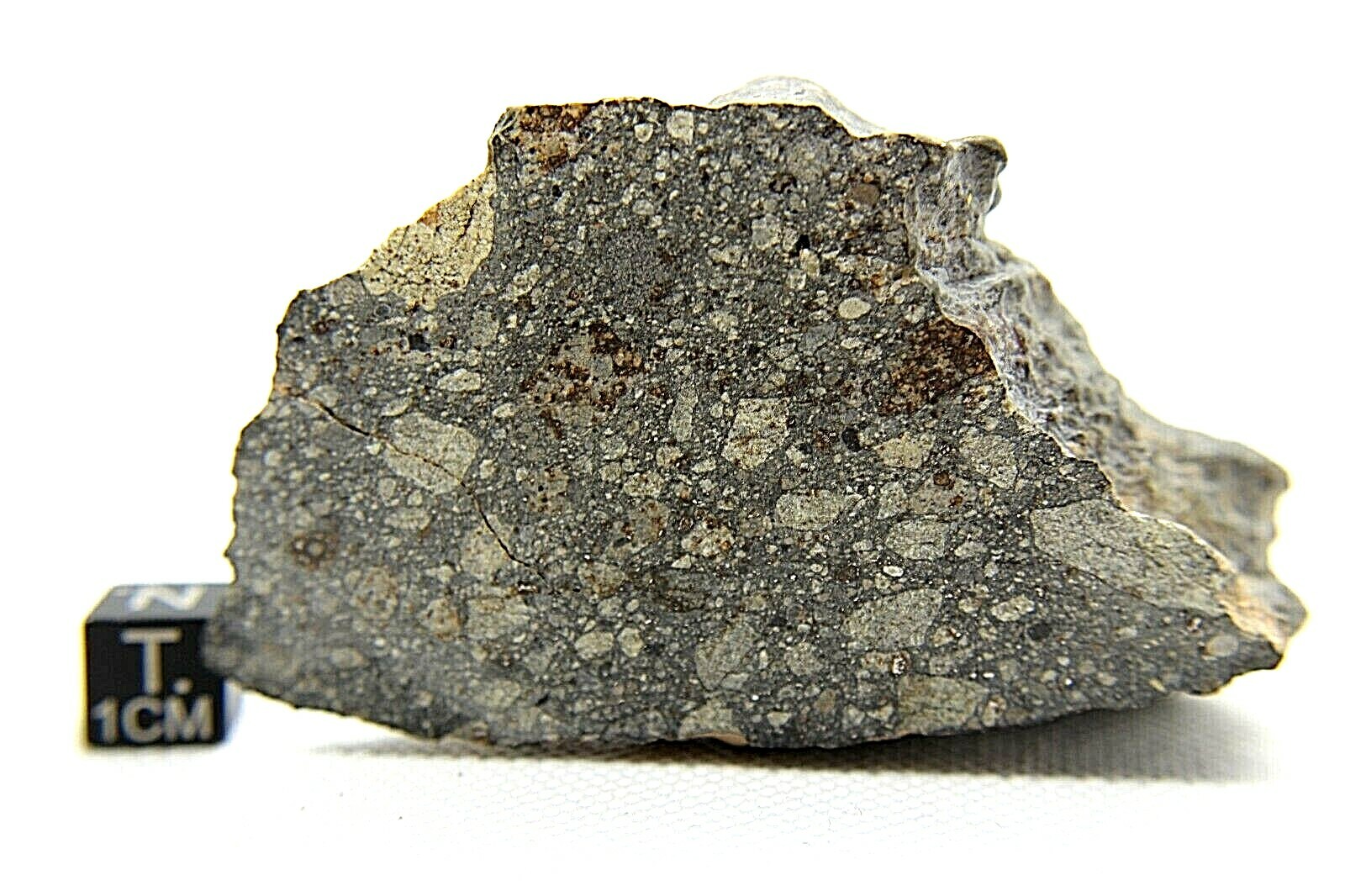 NWA 14456 H6 Chondrite meteorite 137 g, rare remnant chondrules fresh ...