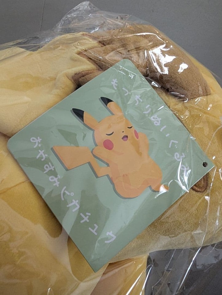 Pokemon Sleep Plush Toy Goodnight Pikachu | eBay