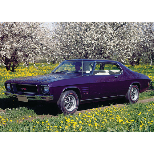 Holden HQ Monaro GTS Art Print – Two-door 1971 – 3 sizes Poster | eBay ...