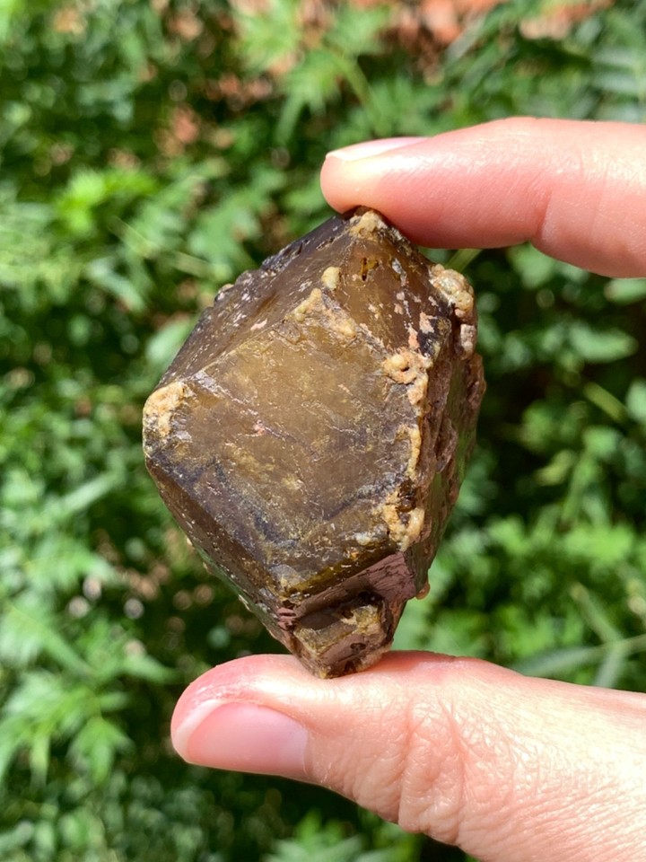 Grossular Garnet Golden Brown Garnet Mali Naturally Faceted | eBay
