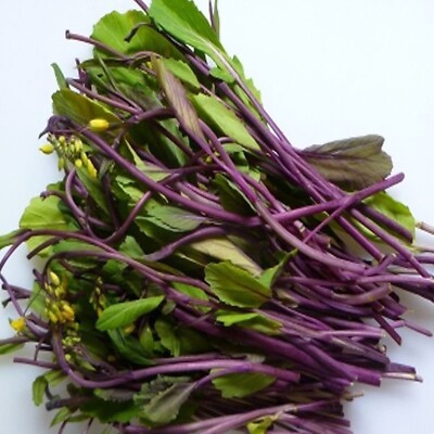 CHOY SUM PURPLE 115+ Seeds HON TSAI TAI vegetable garden HEIRLOOM stir ...