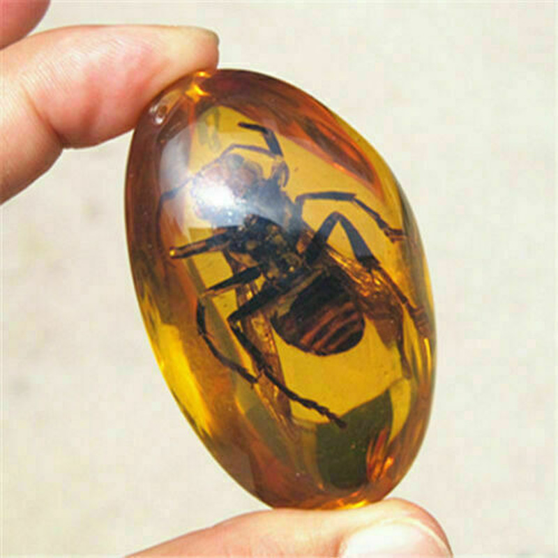 Amber Bee Beautiful Amber Hornet Fossil Insects Manual Polishing ...