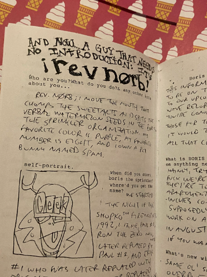 VERONICA LODGE ZINE 1990s RiotGrrrl zines Jolie Ego Kathleen Hanna ...