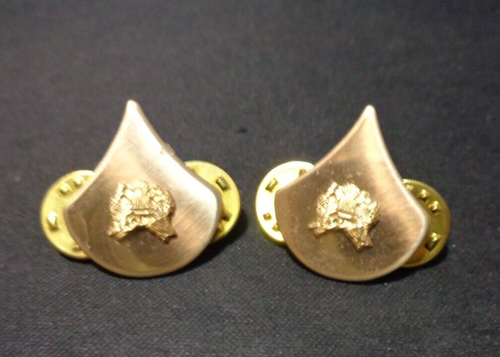 US ARMY SPECIALIST (E-4) SHINE BRITE ARMY MILITARY RANK PINS SET OF 2 ...