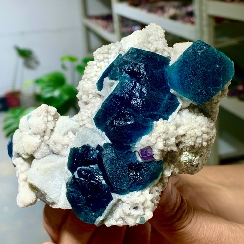 1.25LB Rare transparent blue cubic fluorite mineral crystal sample ...