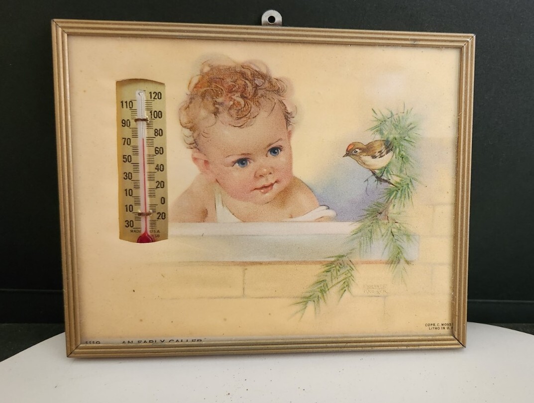 Vintage Baby + Bird Picture Thermometer Fahrenheit Metal Frame w Glass ...