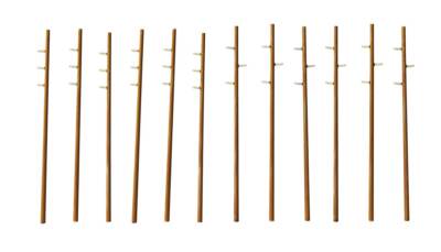 Walthers Cornerstone 933-4173 HO Scale Utility Poles (Wood) pkg(12 ...