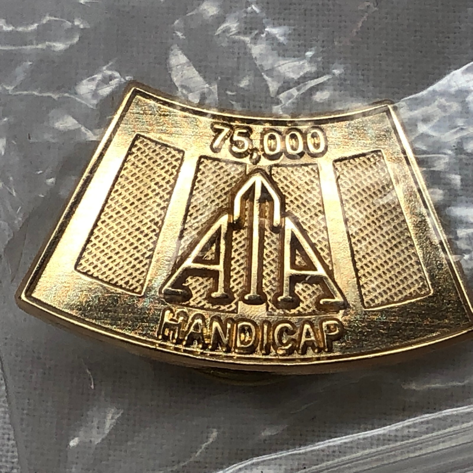 75,000 ATA Handicap Pin | eBay