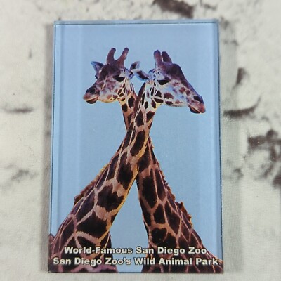 World Famous San Diego Zoo Giraffes Refrigerator Fridge Magnet | eBay