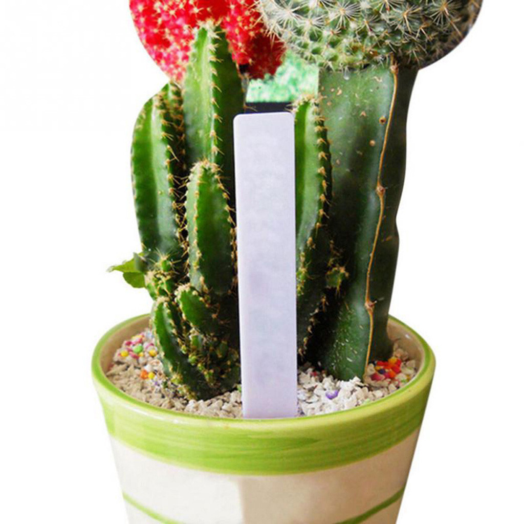 100 Pcs Plastic Labels Pot Marker Nursery Garden Stake Tags 10cm x2cm ...