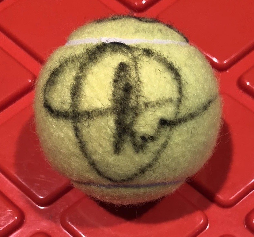 ROGER FEDERER, NOVAK DJOKOVIC Dual Signed PSA Authenticated US Open ...