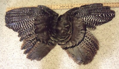 WILD TURKEY WINGS PAIR (L&R) Arts Craft Fletch Arrow Prayer Fan ...