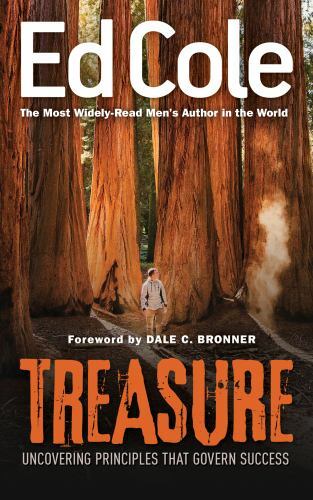Treasure: Uncovering Principles That Govern Success, Cole, Edwin Louis ...