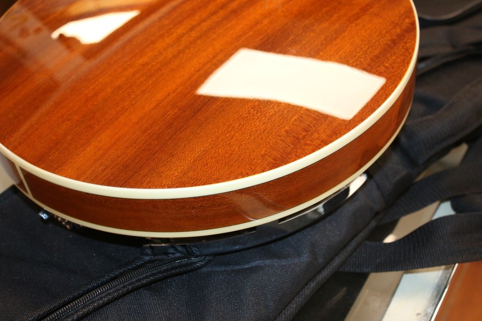 Danville Banjo acoustic banjo with softcase | eBay