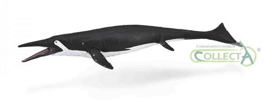 Collecta 88974 Shastasaurus 25 cm dinosaure nouveauté 2023 ...