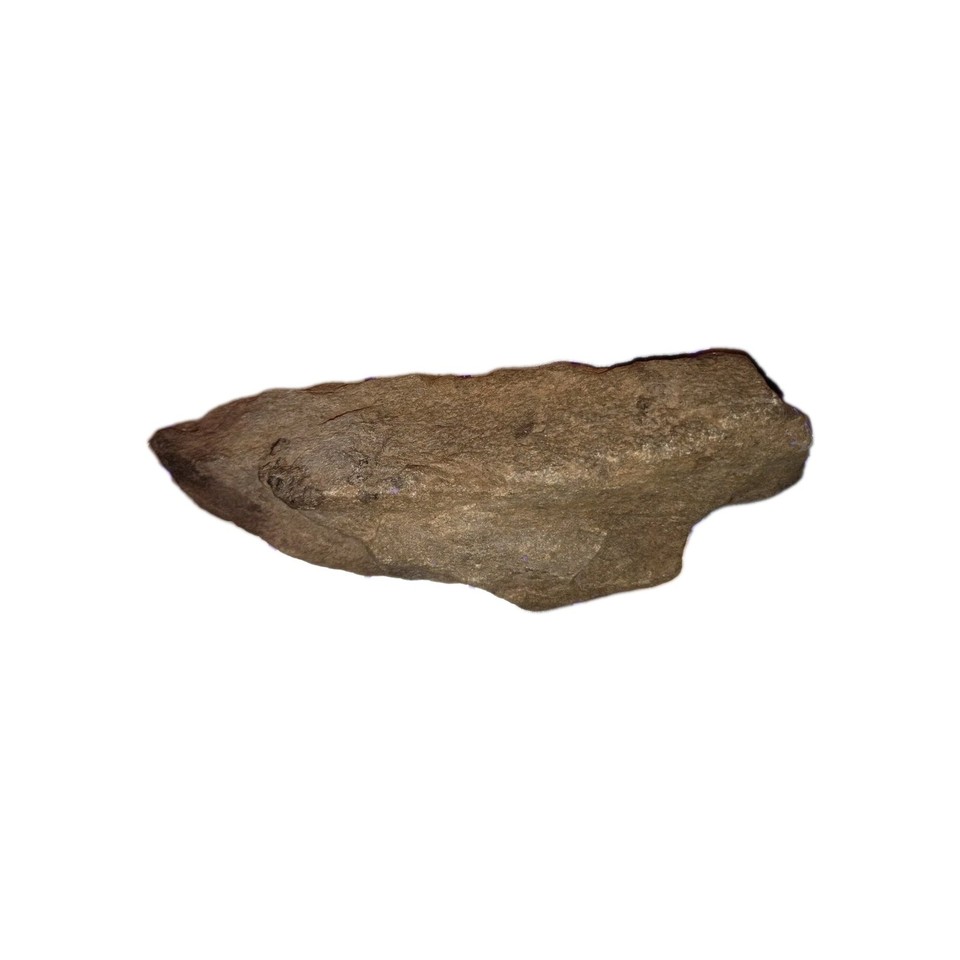 Antique Native American Hard stone Celt Axe Head Weapon Indian Tool ...