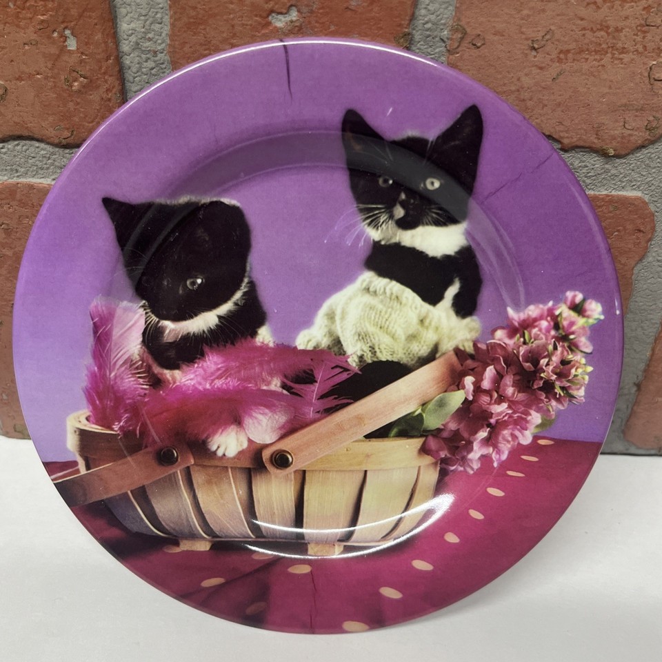 Harry Potter Collectible Plate Set of 4 Professor Umbridge Cat Plates ...