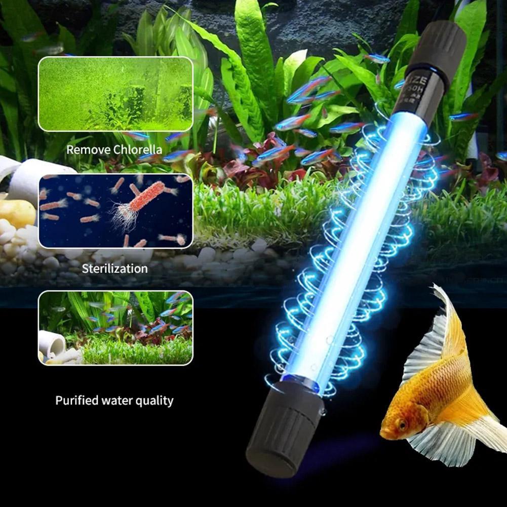 Black Light Fish Tanks
