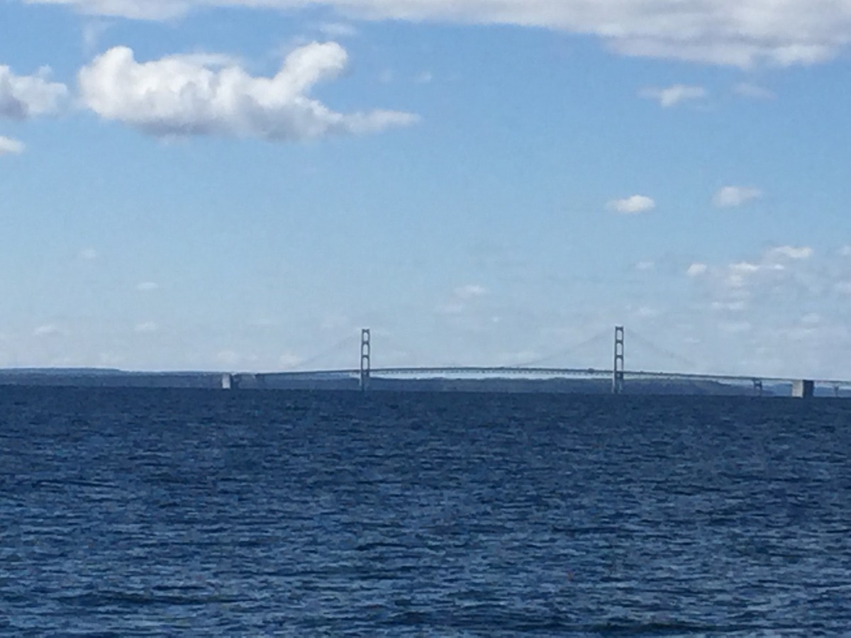 Westside Pickers | eBay Stores