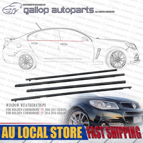 Door Window Belt Mould Weather Strip Fit Holden Commodore VT VX VY VZ ...
