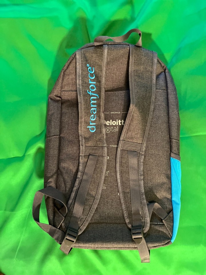 Salesforce Dreamforce Gray Laptop Backpack - Trailhead Logo - Never ...