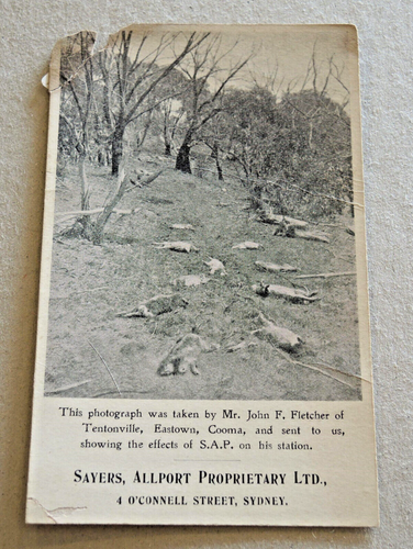 DAMAGED ADVERTISEMENT CARD S.A.P. POISON TO COMBAT RABBIT PLAGUE c1910 ...